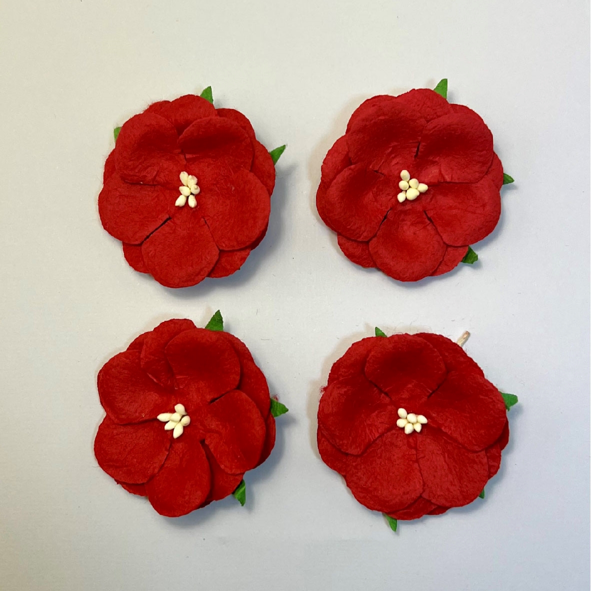 Swan Rose – Paper World South Africa