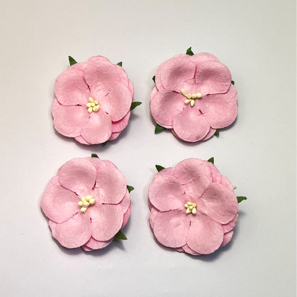 Swan Rose – Paper World South Africa