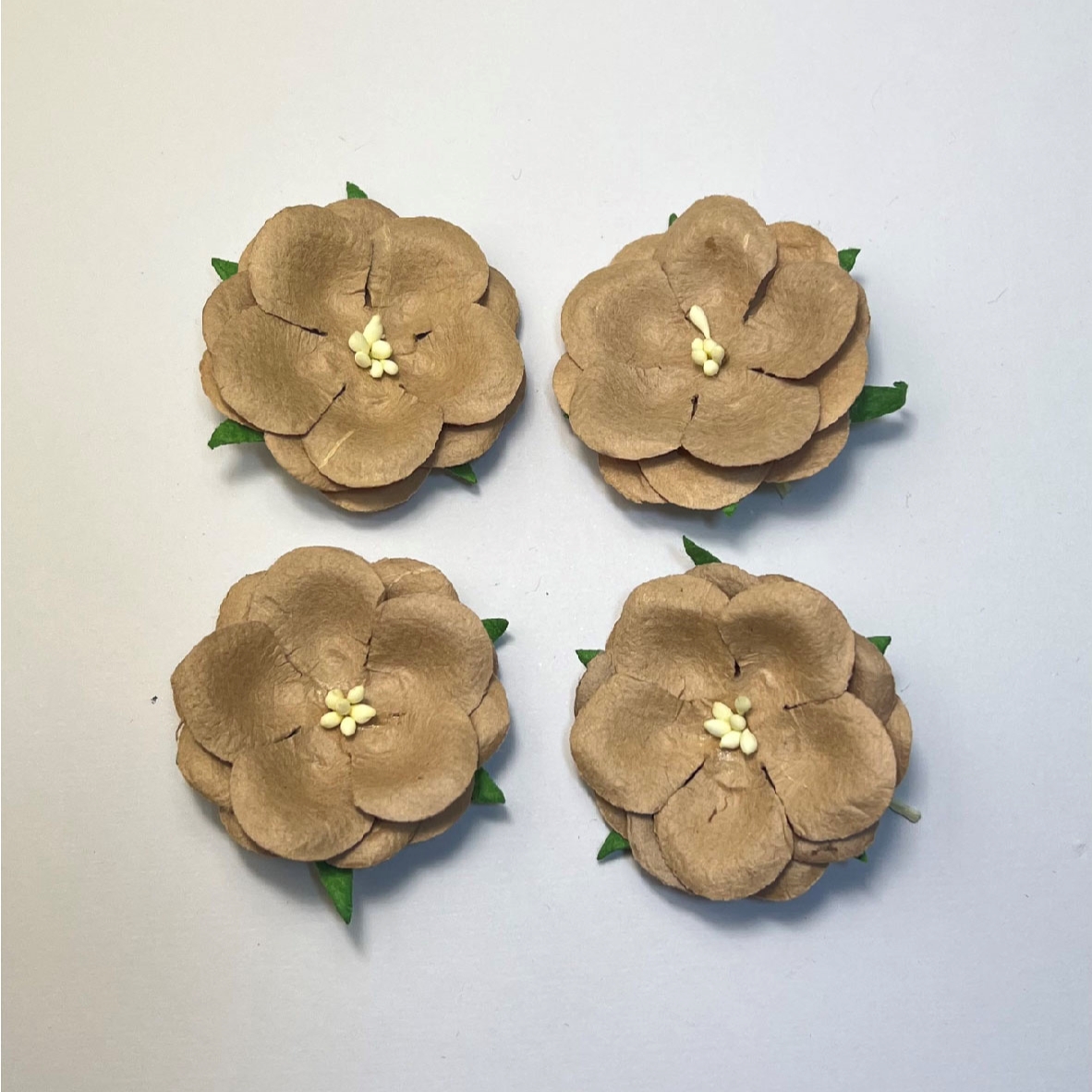 Swan Rose – Paper World South Africa