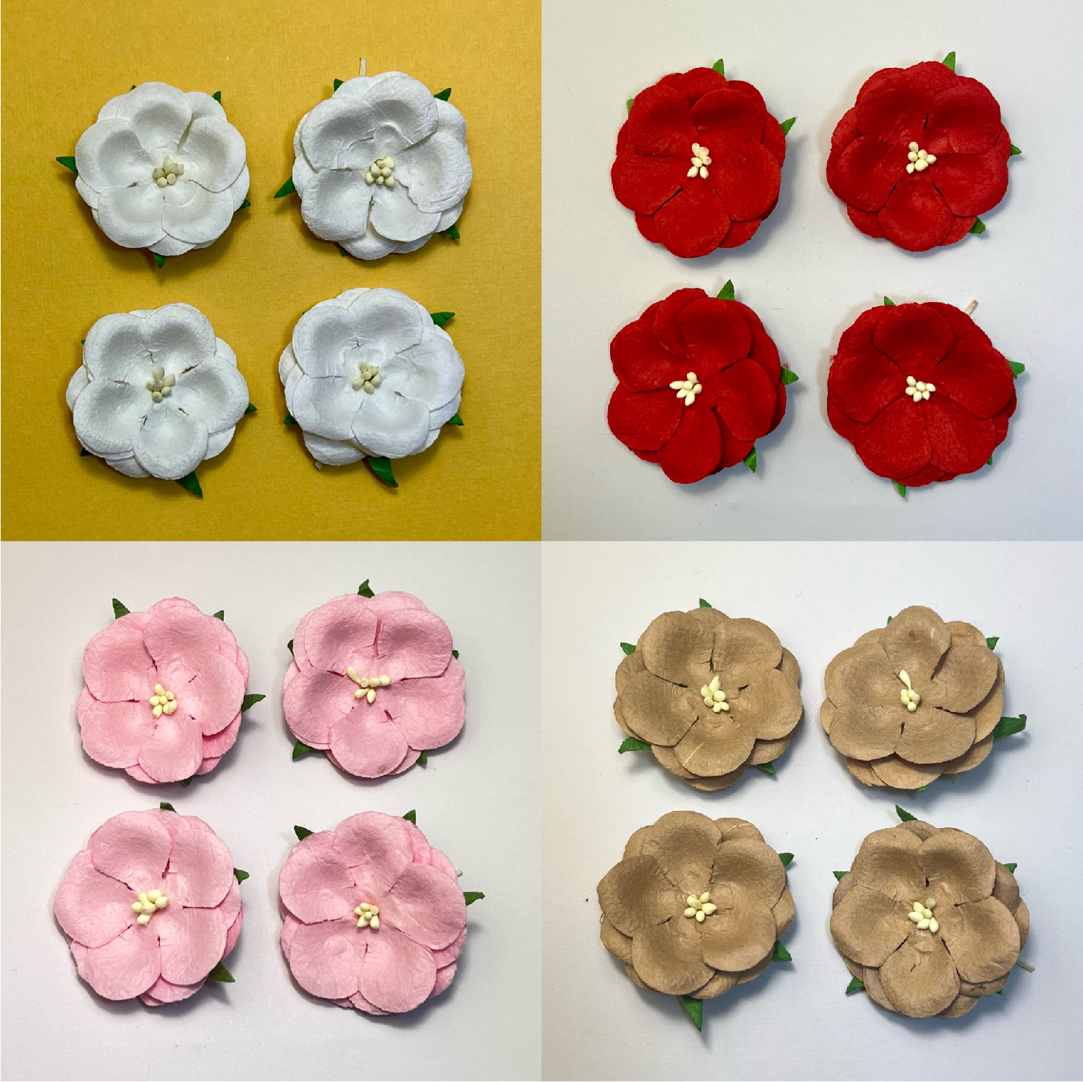 Swan Rose – Paper World South Africa