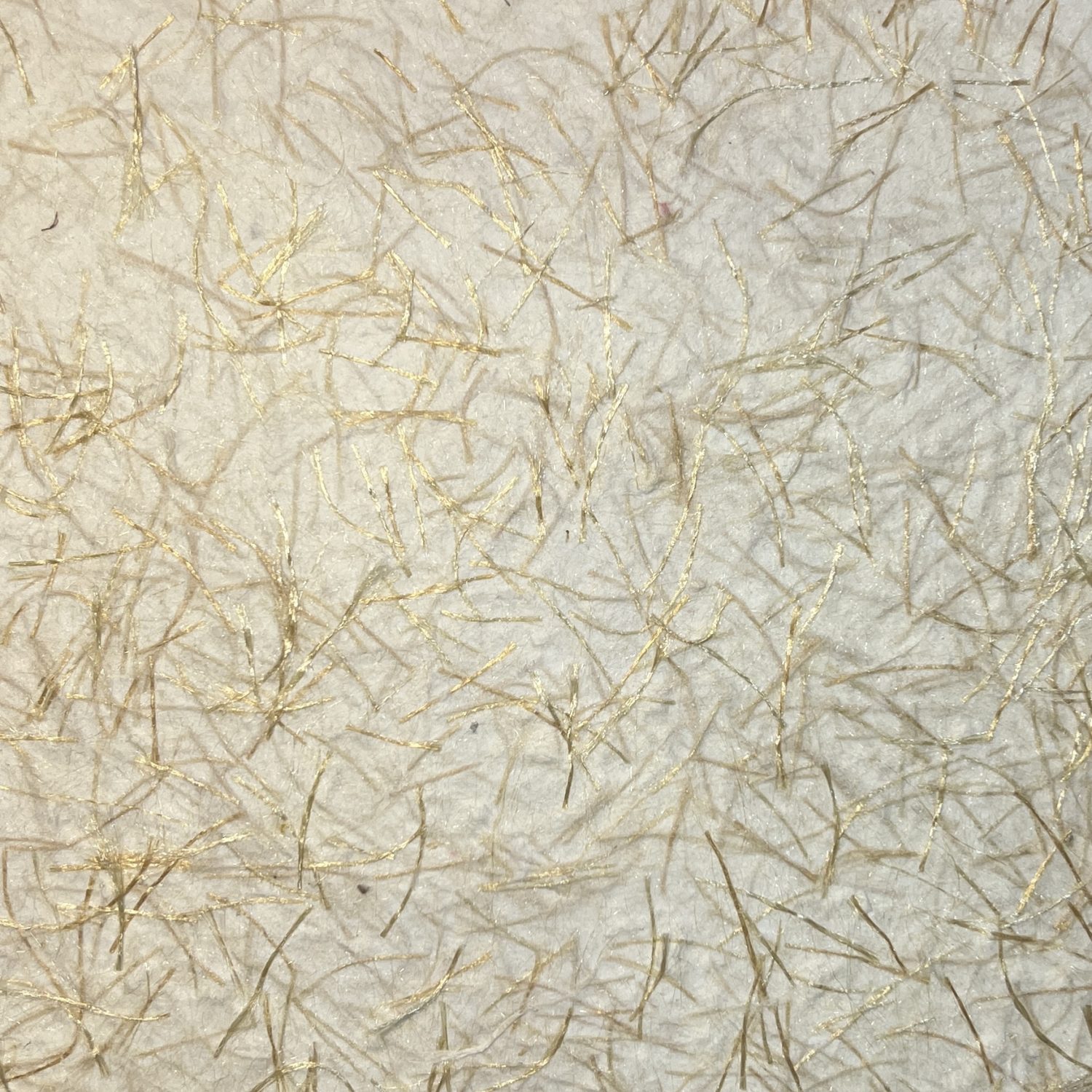 A3 – Paper World South Africa